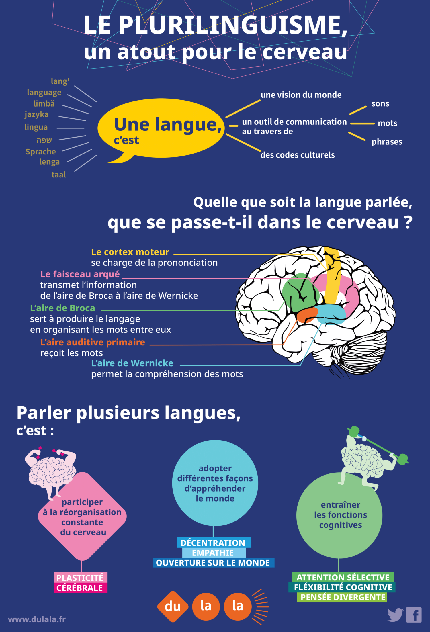 Le multilinguisme dans la petite enfance pour l’égalité des chances ...